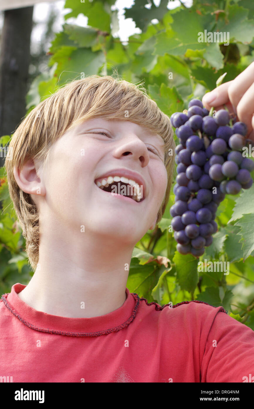 boy with grape Stock Photo - Alamy