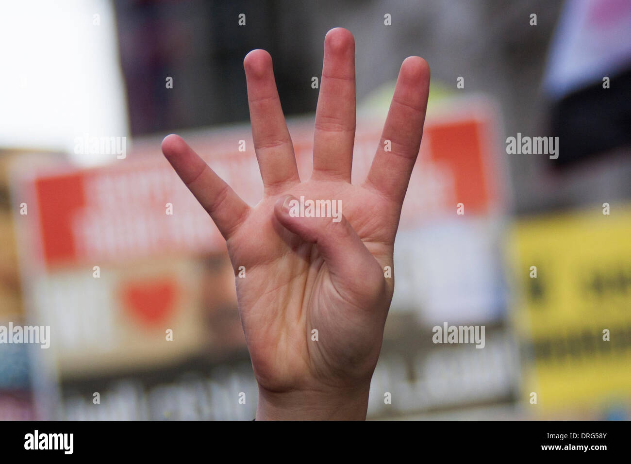 London, UK. January 25th 2014. A hand makes the Rabia sign as Egyptian ...