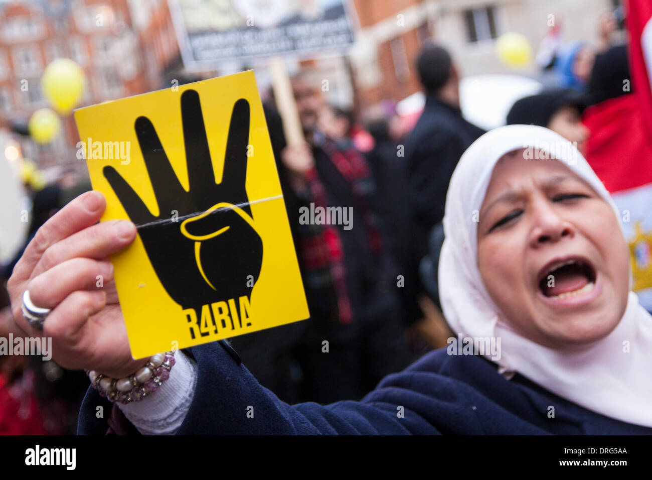 London, UK. January 25th 2014. A woman shouts slogans and displays a ...