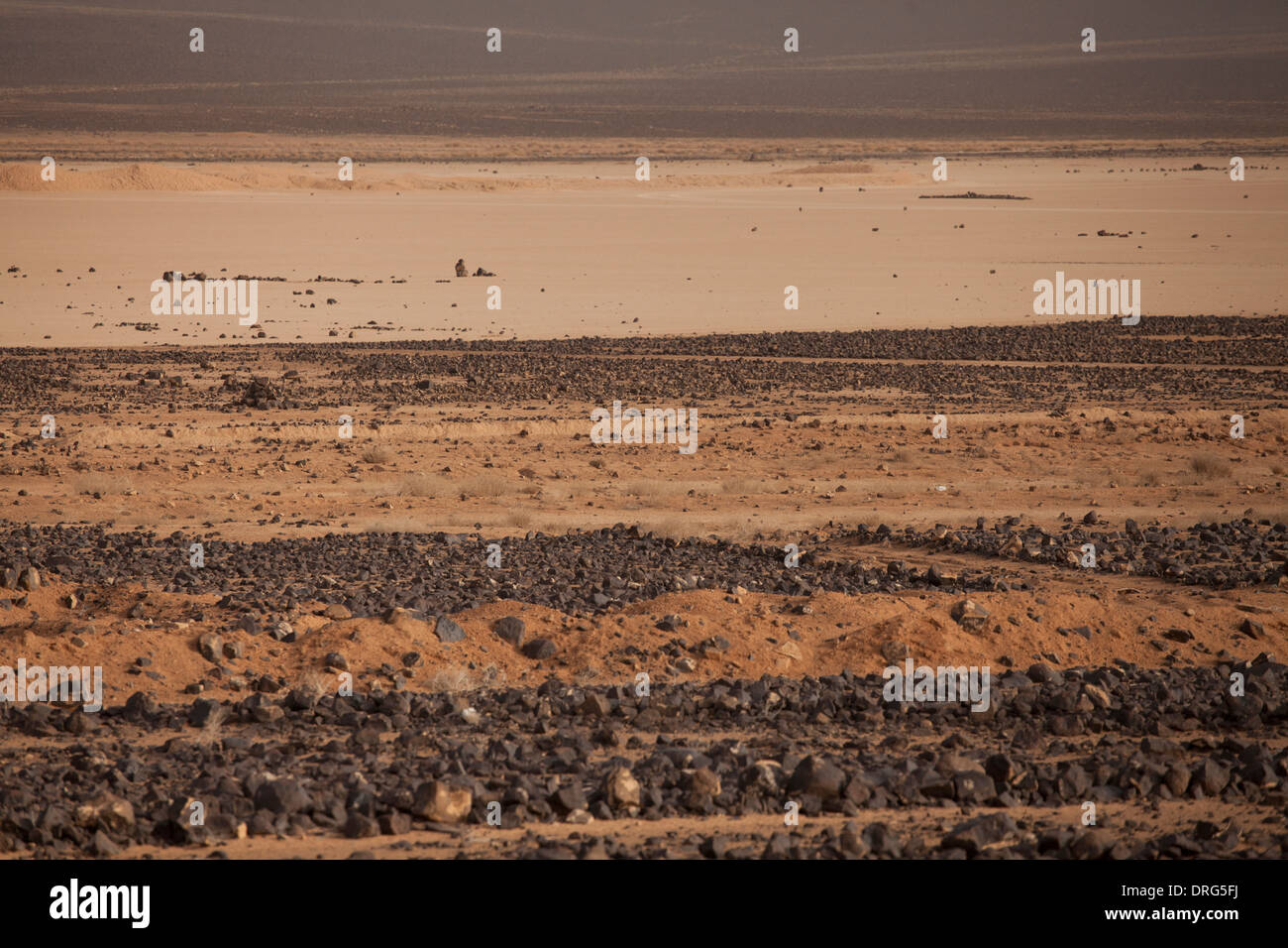 Basalt rocks in Eastern Desert near the Iraqi border Jordan Stock Photo ...