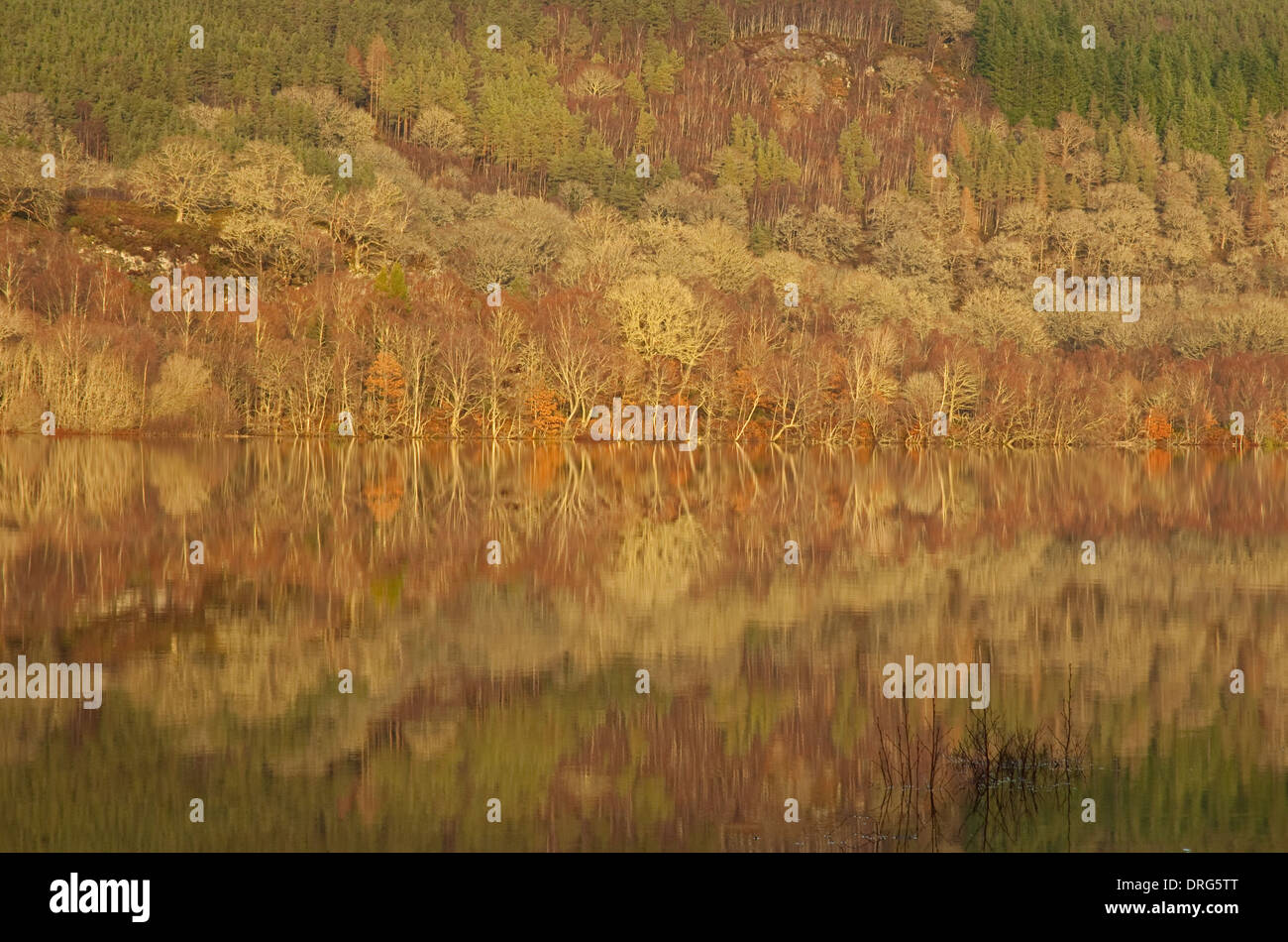 Reflections on Loch Achilty Stock Photo - Alamy