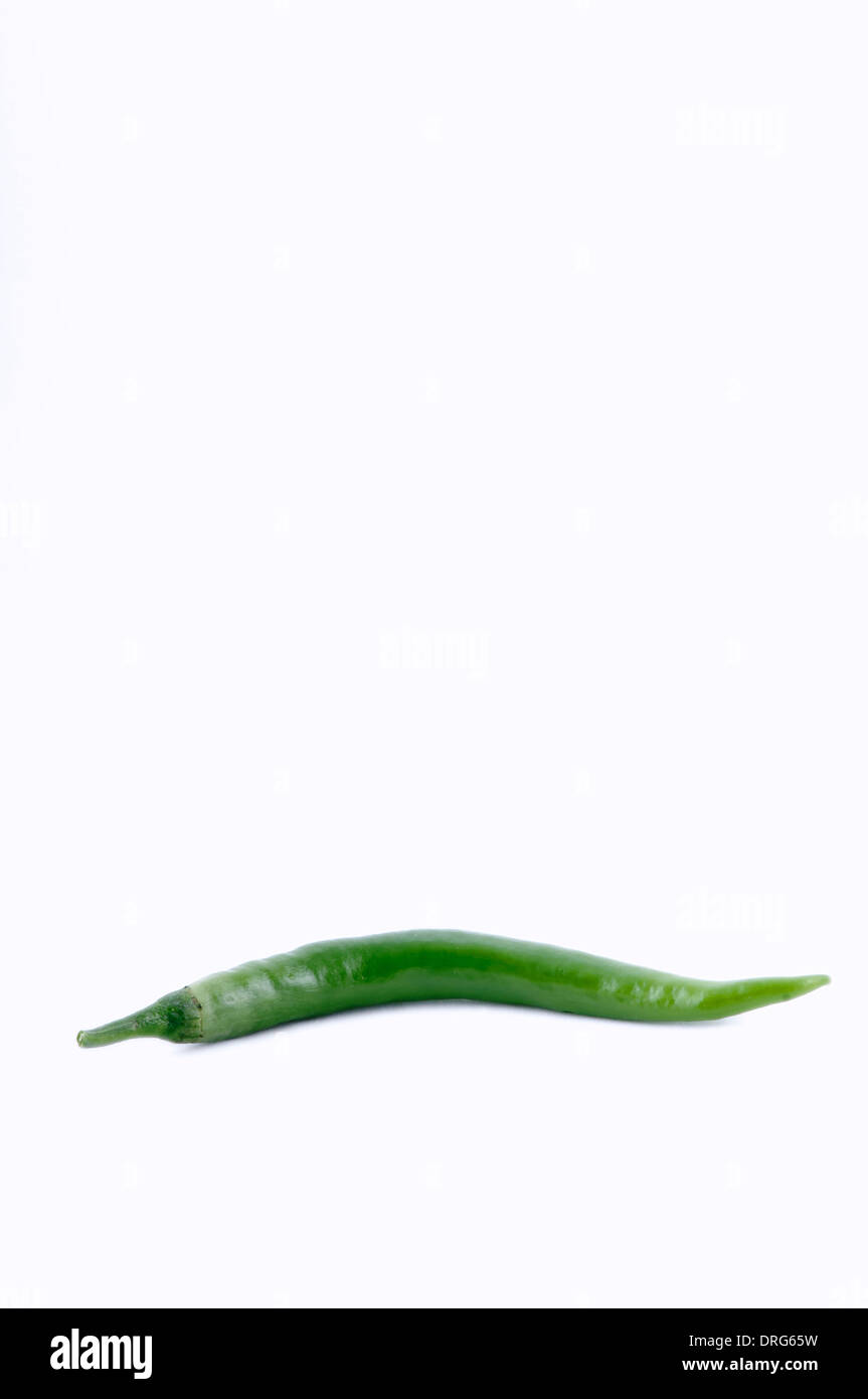 green chilli on white background. vertical studio shot Stock Photo - Alamy