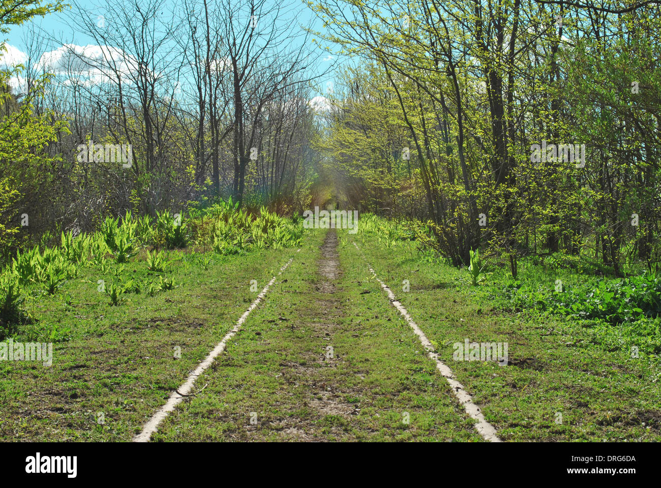 Woman subway exercise hi-res stock photography and images - Alamy