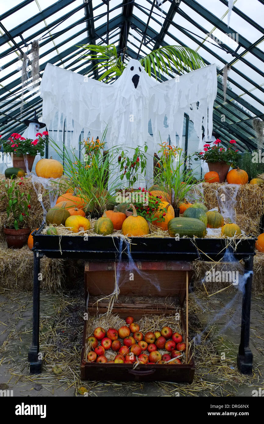 Halloween and autumn harvest combination Stock Photo - Alamy