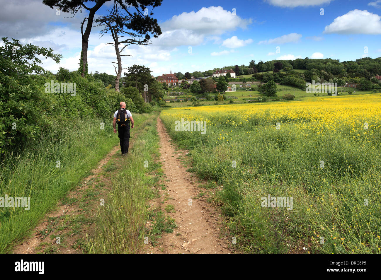 Walker on South Downs Way footpath, Little Down, Slindon village, South ...