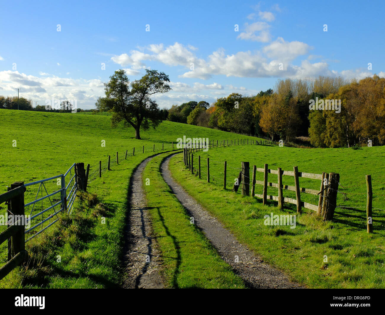 Through field farmland cheshire hi-res stock photography and images - Alamy