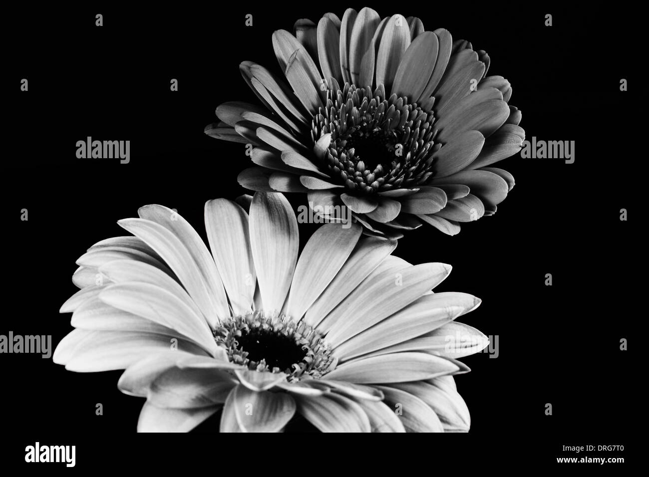Two pair Black and White Stock Photos & Images - Alamy