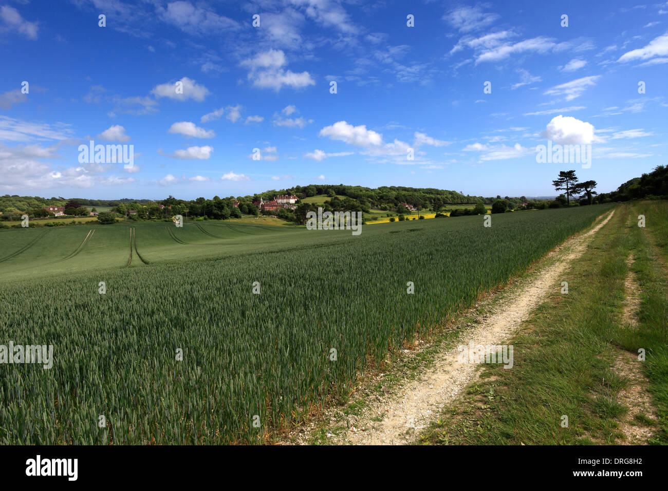 Summer Landscape over Slindon village, South Downs National Park ...