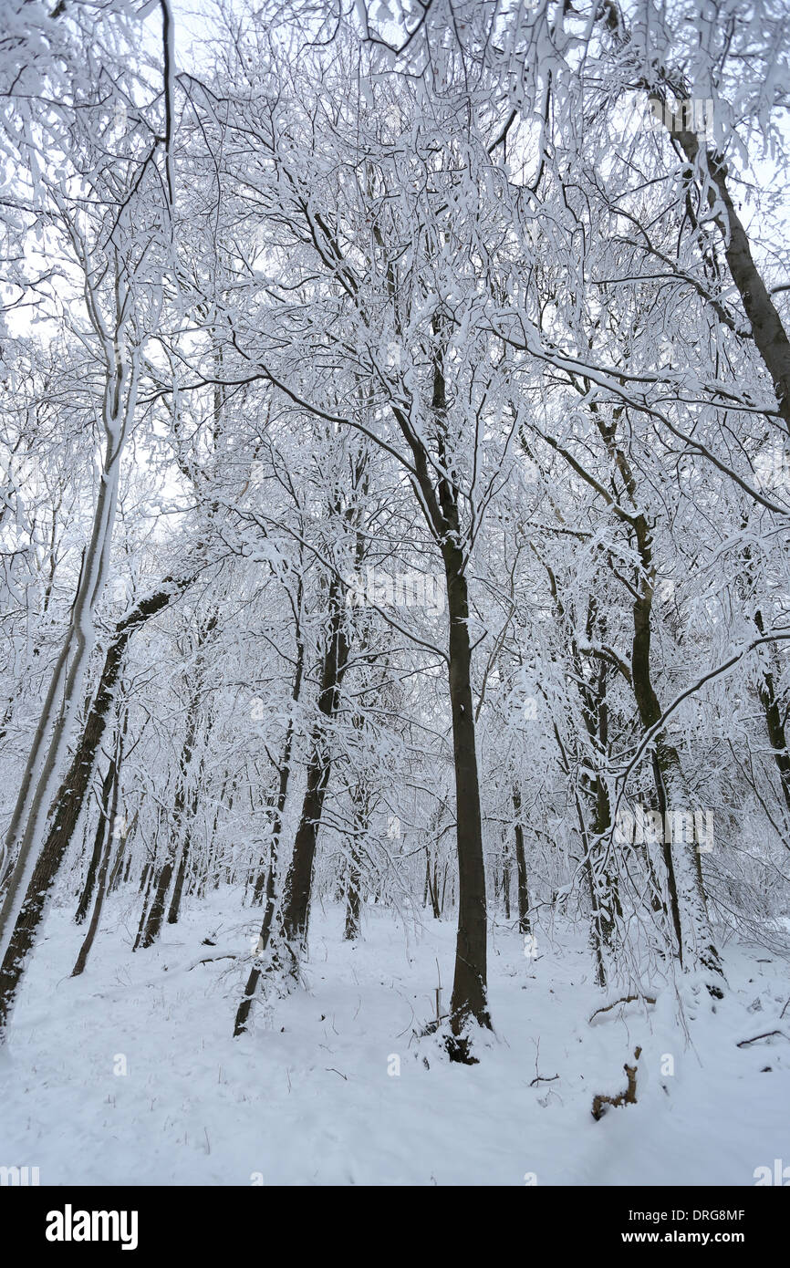 South wales castle snow hi-res stock photography and images - Alamy