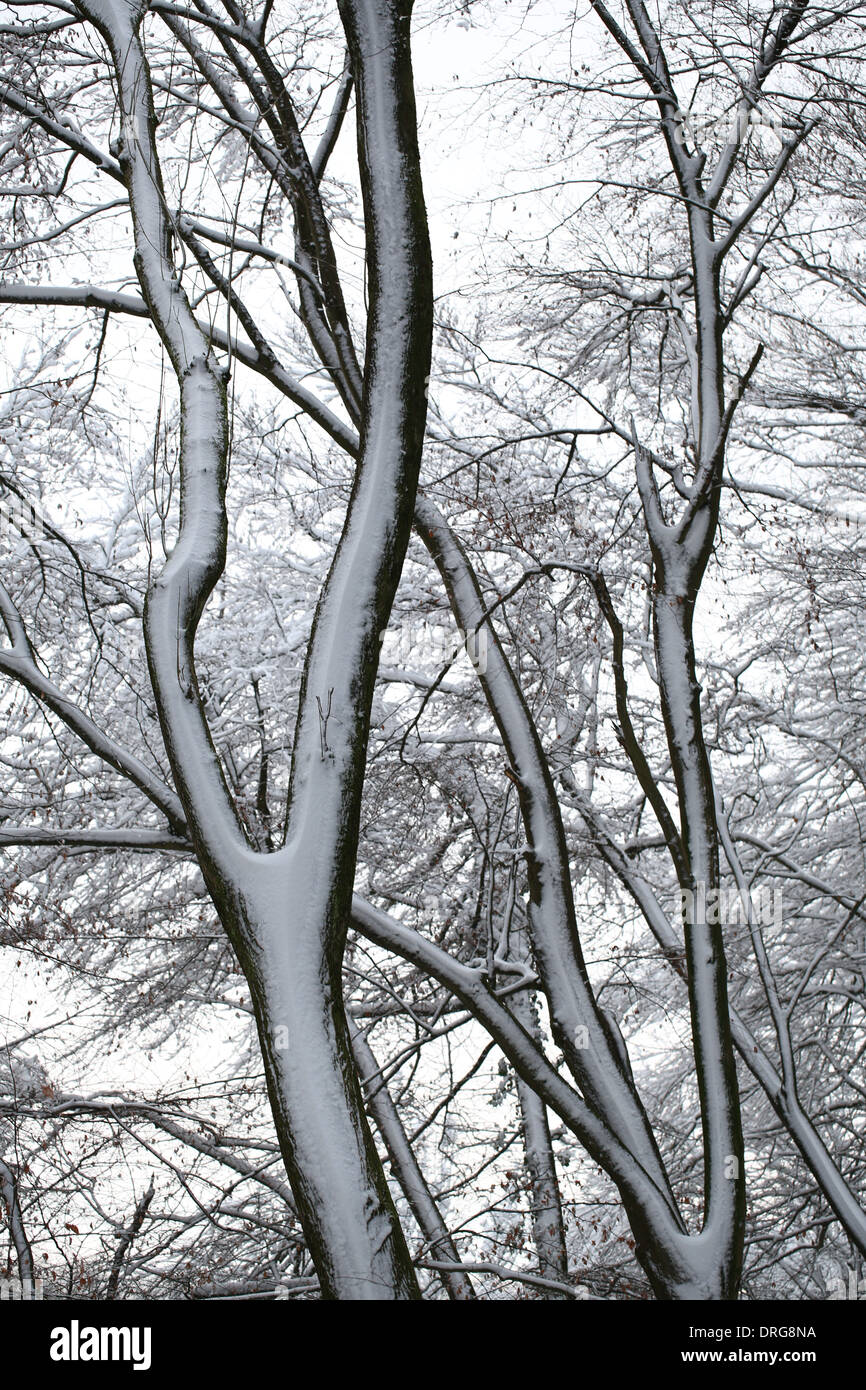 South wales castle snow hi-res stock photography and images - Alamy