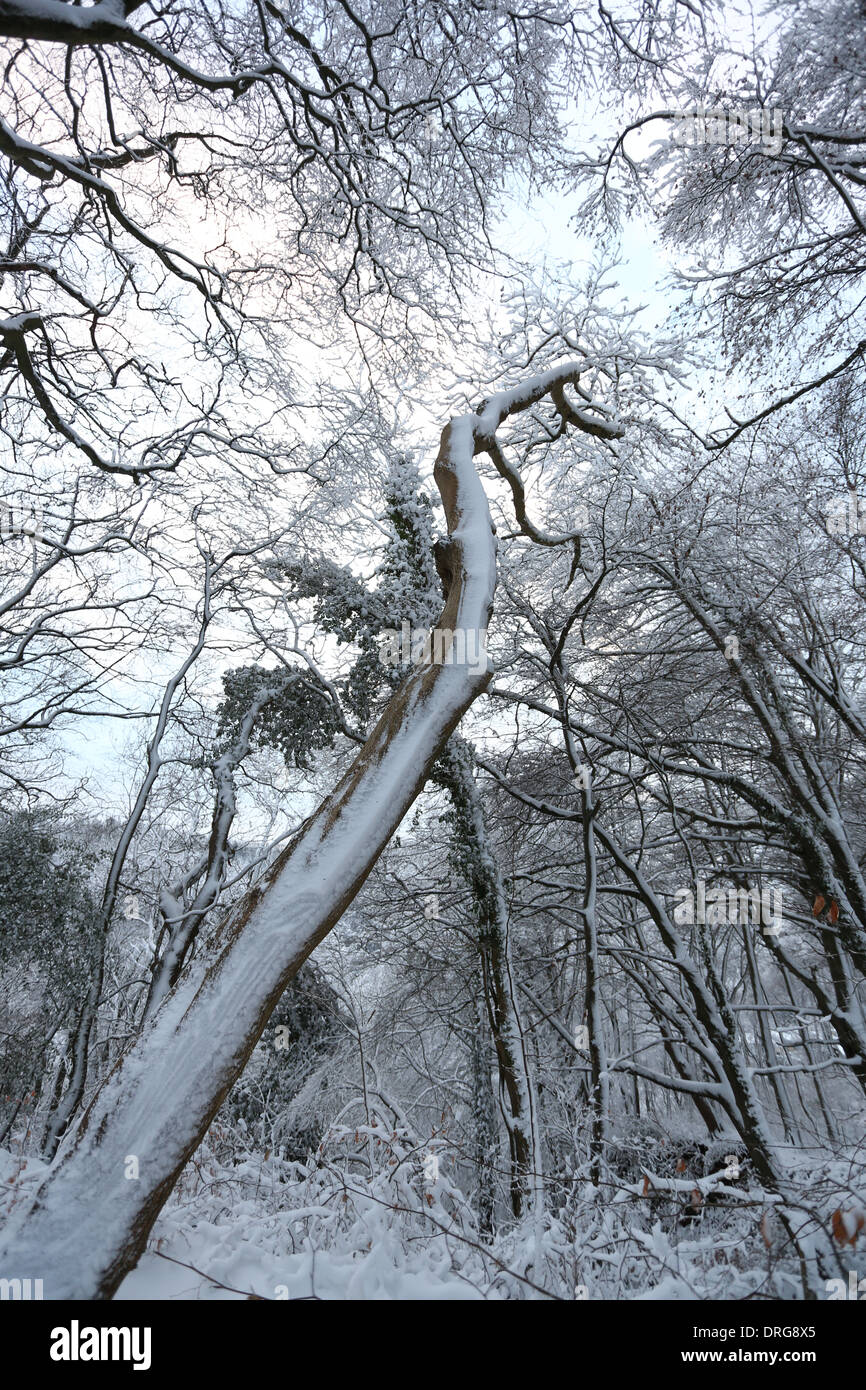 Castell coch snow hi-res stock photography and images - Alamy