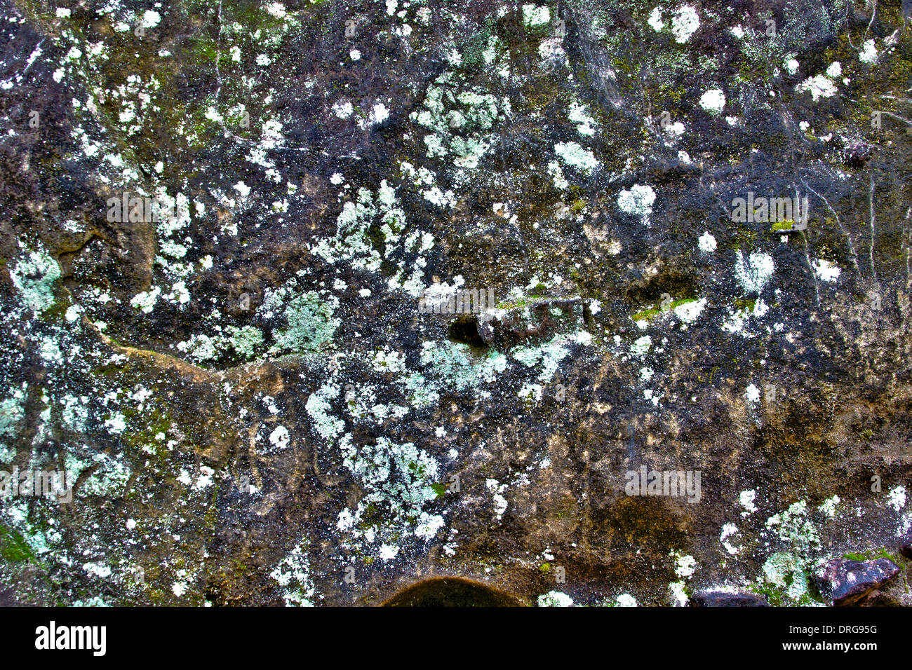 Moss rocks hi-res stock photography and images - Alamy