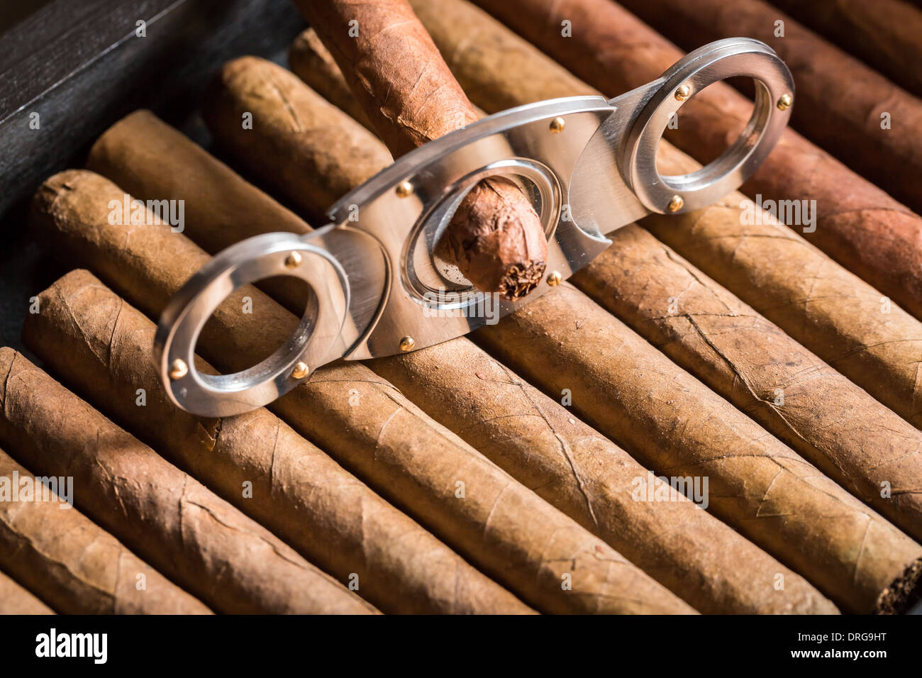 Cutting off cigar tip on cigars pile Stock Photo - Alamy