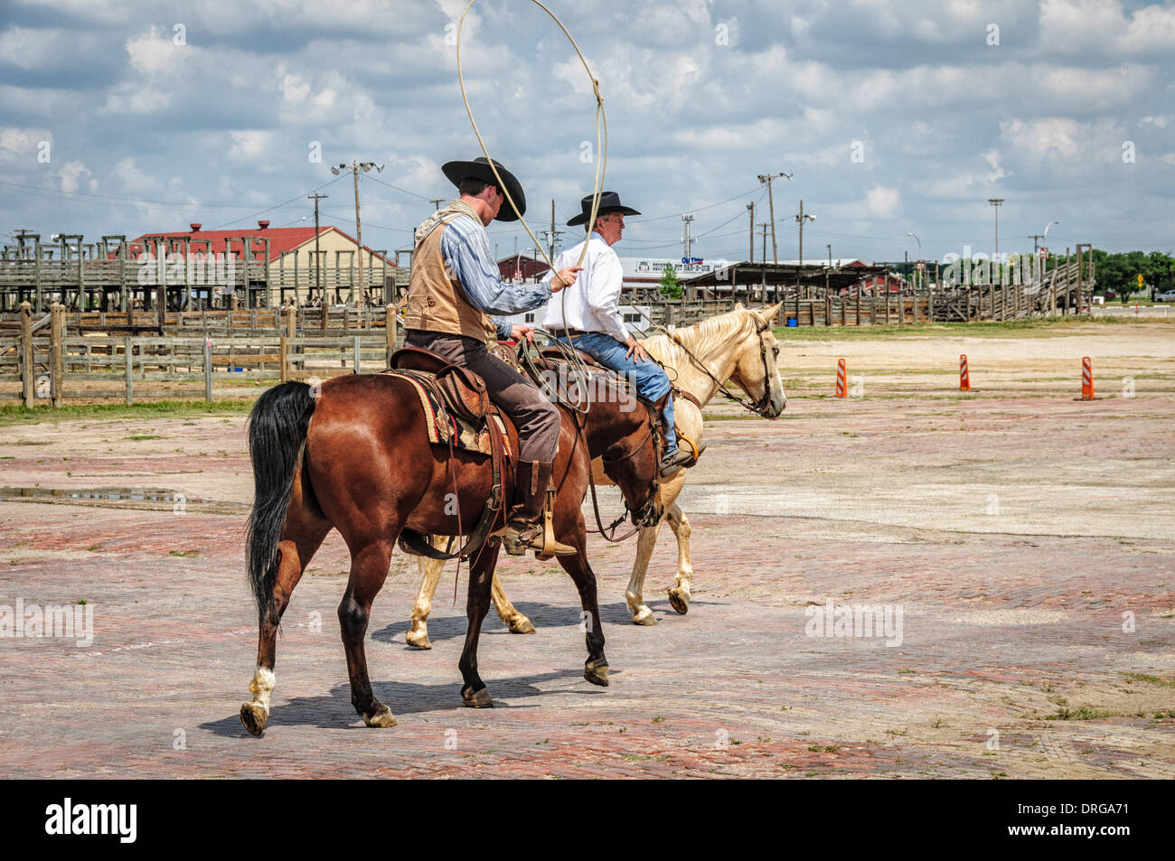 Cattle drive, Stockyards Historic District, Fort Worth, Texas Stock ...