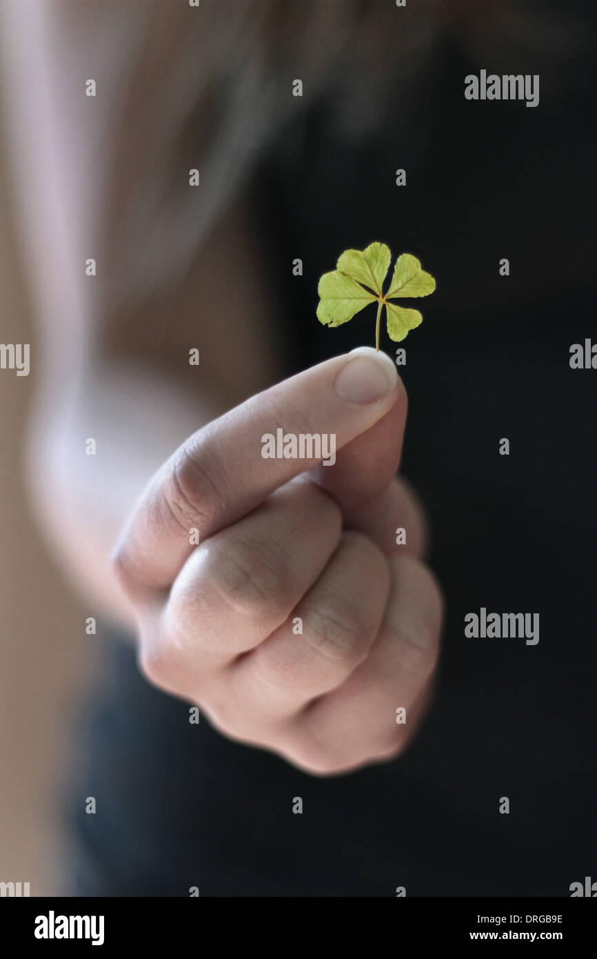 Four leaf clover st patricks day hi-res stock photography and images ...