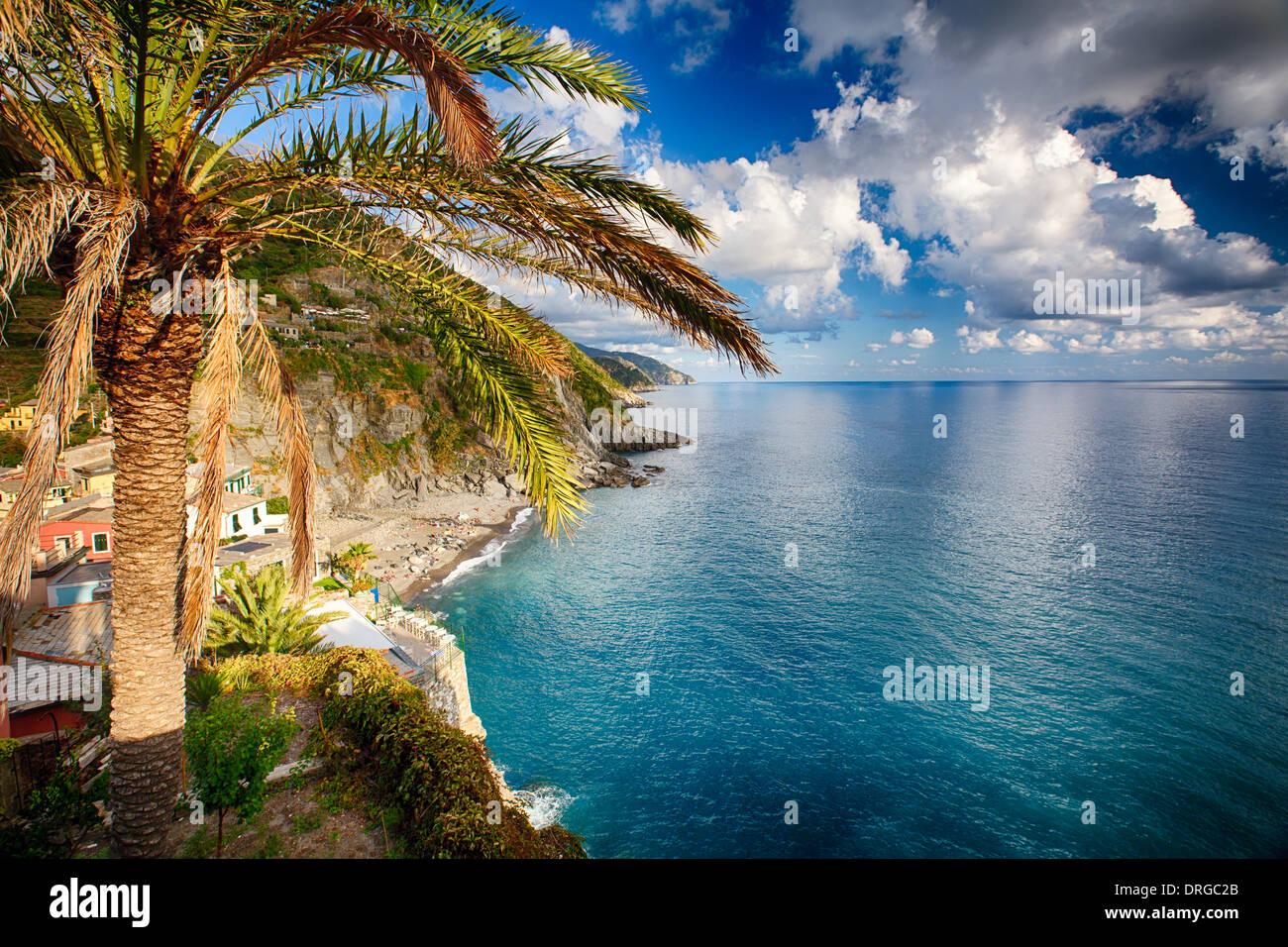 Coastal coastal tree hi-res stock photography and images - Alamy