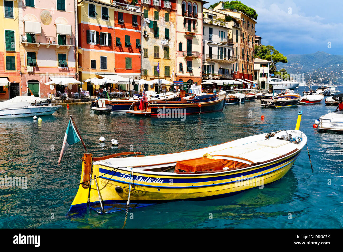Colorful Traditional Boats in a Harbor, Portofino, Liguria, Italy Stock ...