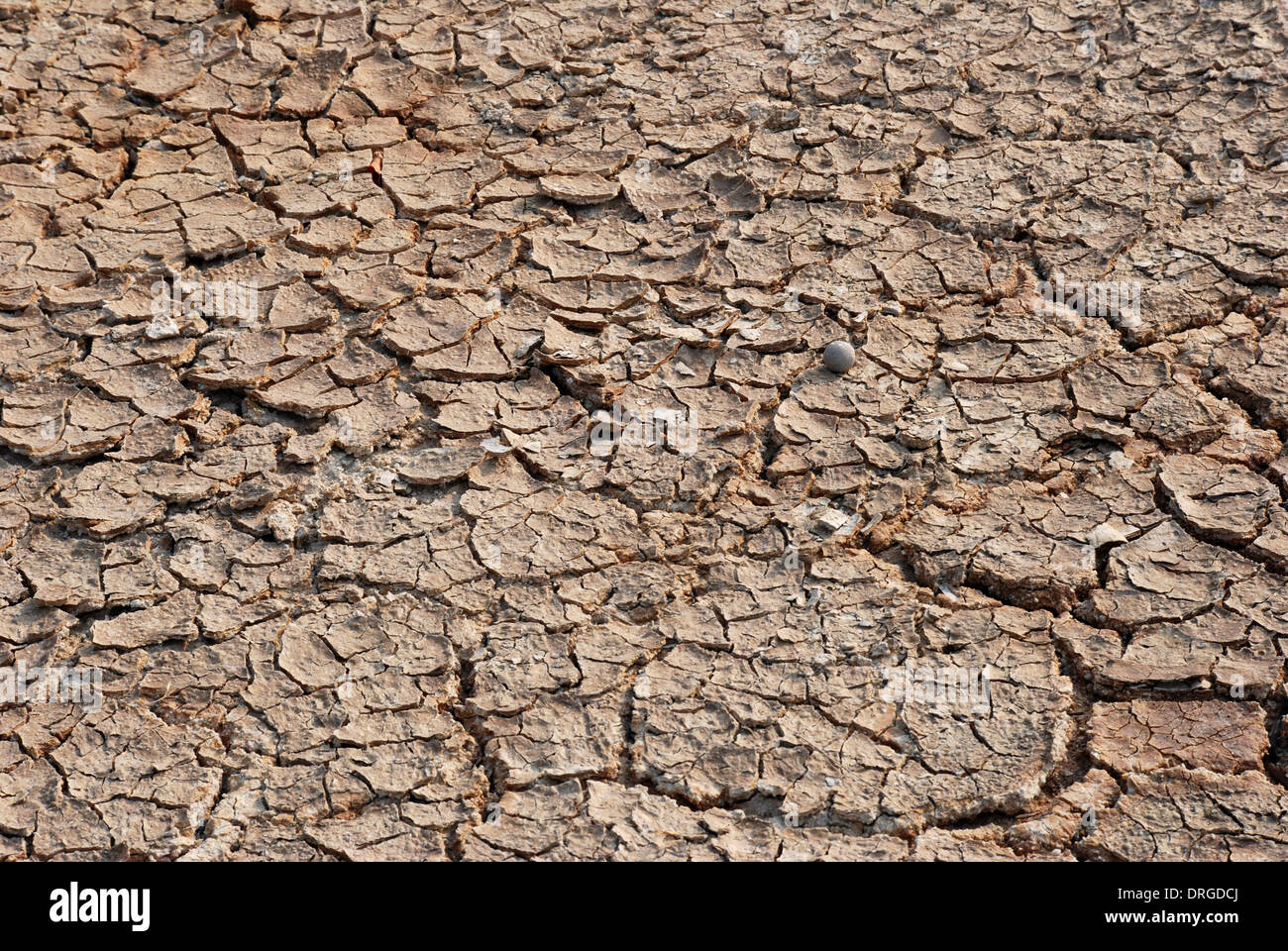 drought dry desert disaster and dead Stock Photo - Alamy