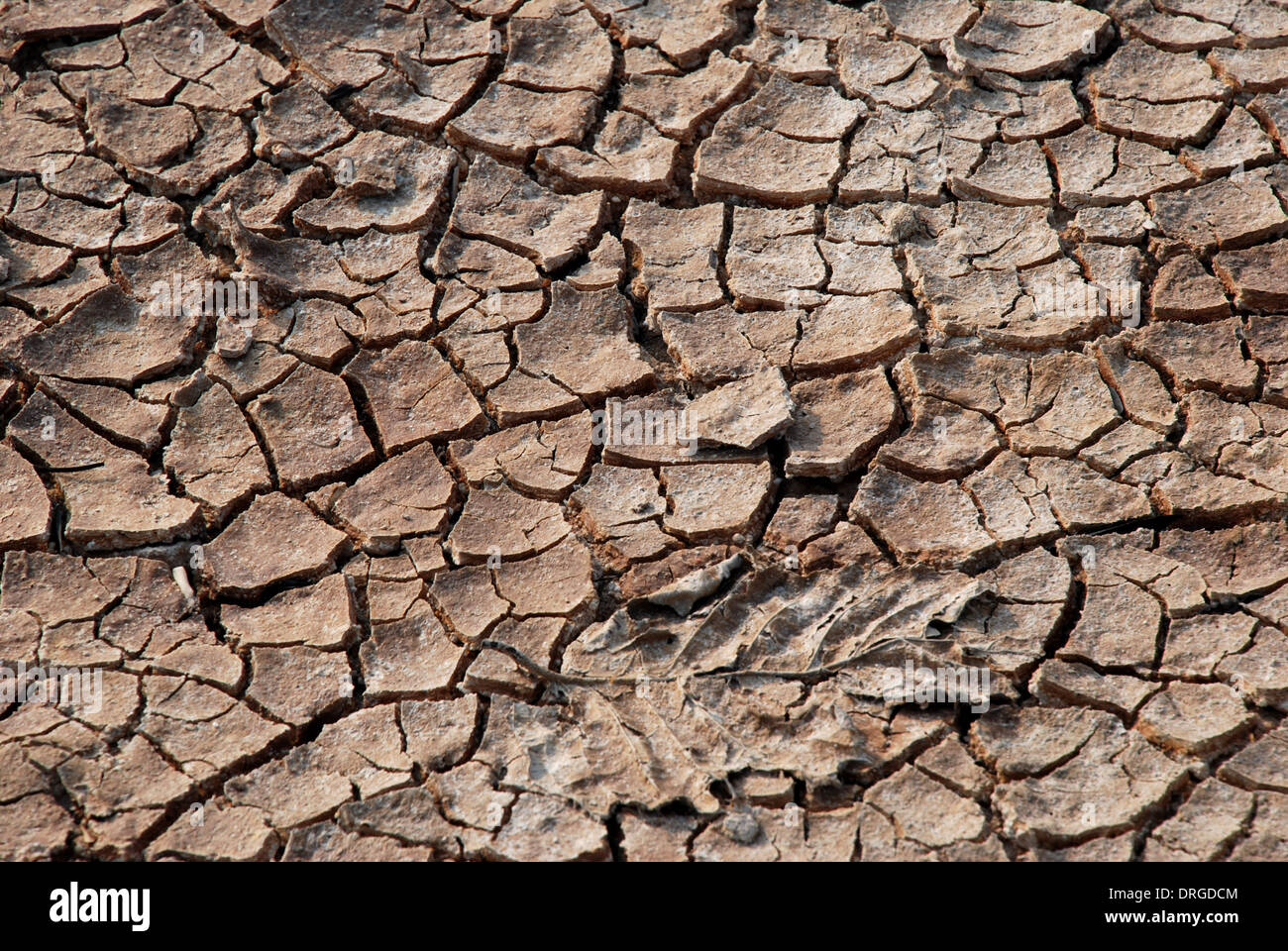 Drought disaster hi-res stock photography and images - Alamy