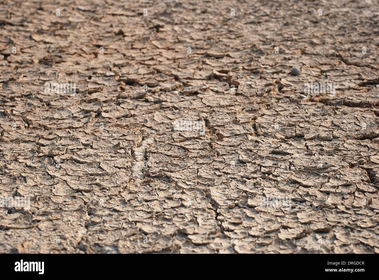 drought dry desert disaster and dead Stock Photo - Alamy