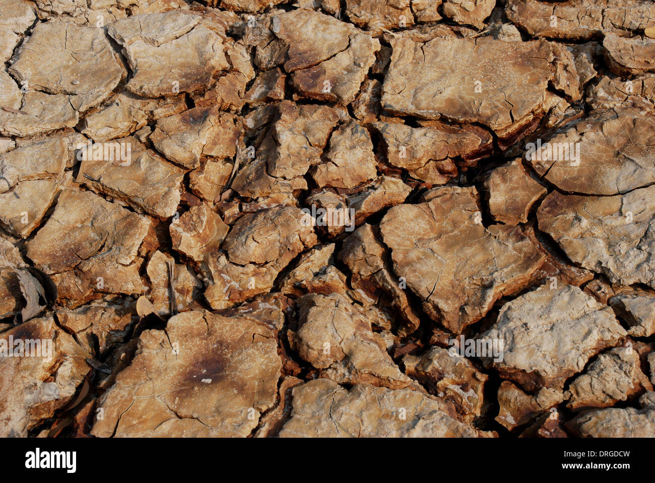 Drought disaster hi-res stock photography and images - Alamy
