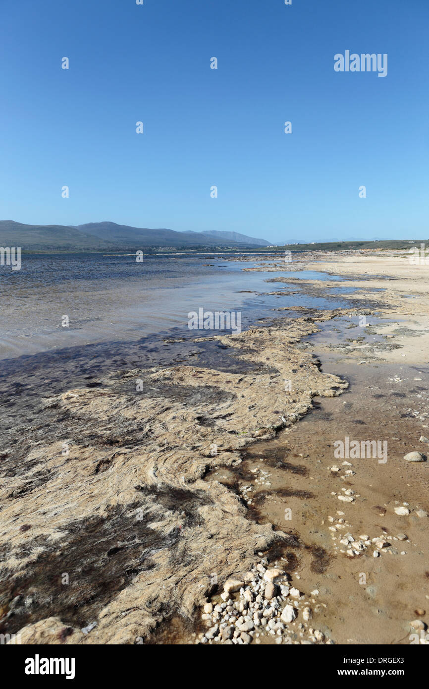 Botrivier lagoon hi-res stock photography and images - Alamy
