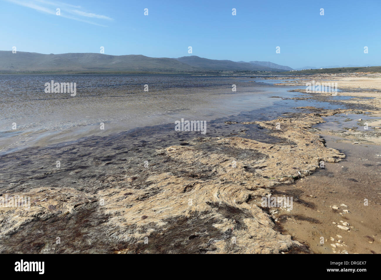 Botrivier Lagoon, Fisherhaven, South Africa Stock Photo - Alamy