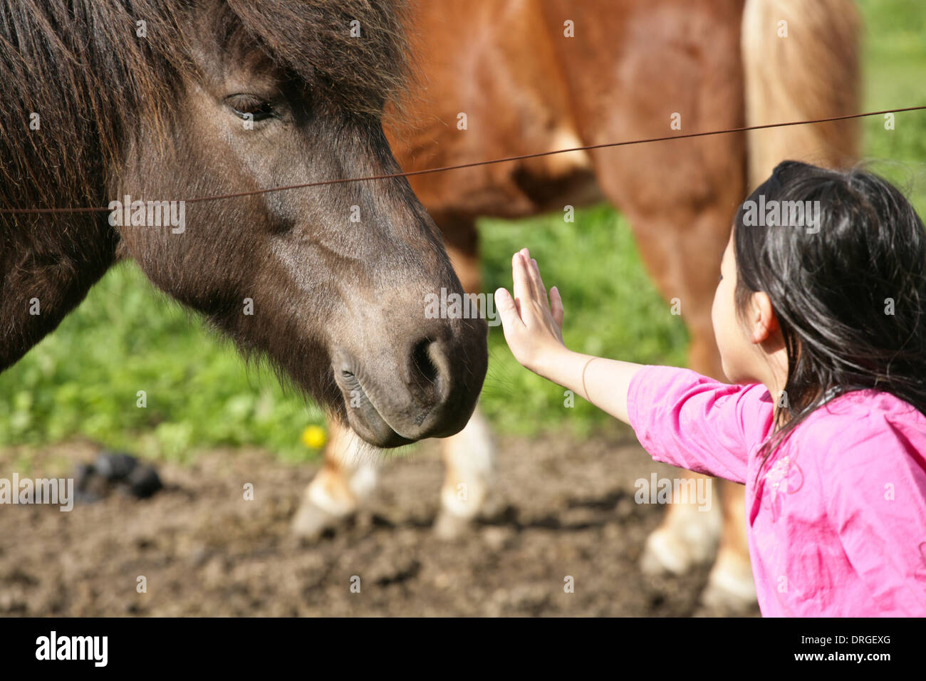 Girls with horse in denmark in spring Stock Photo - Alamy