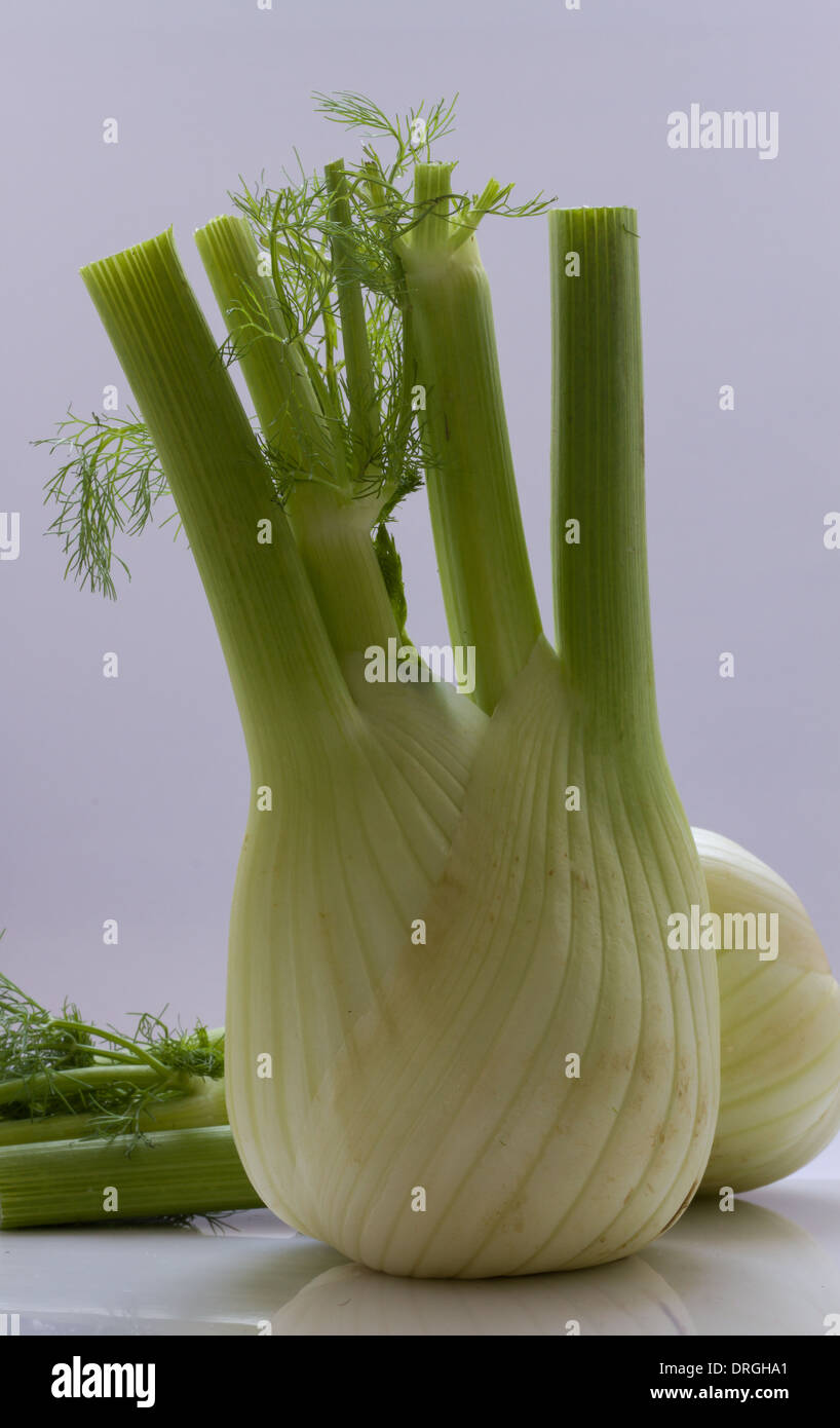 Beautiful photo fresh, organic fennel on a white background Stock Photo ...