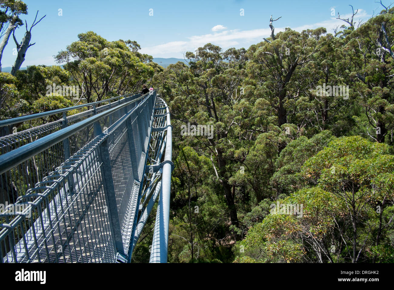 Tree Top Walk Stock Photo - Alamy