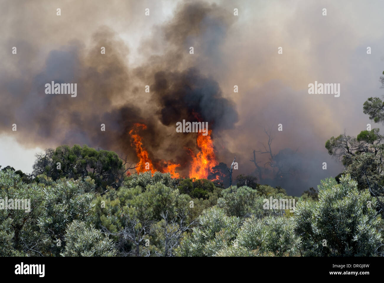 Ellenbrook hi-res stock photography and images - Alamy
