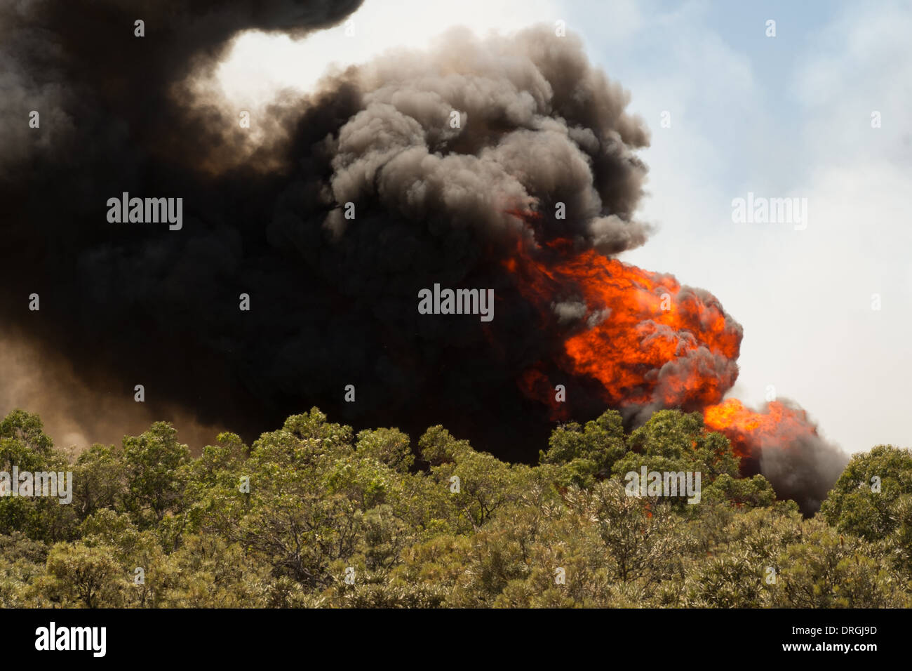 Ellenbrook hi-res stock photography and images - Alamy