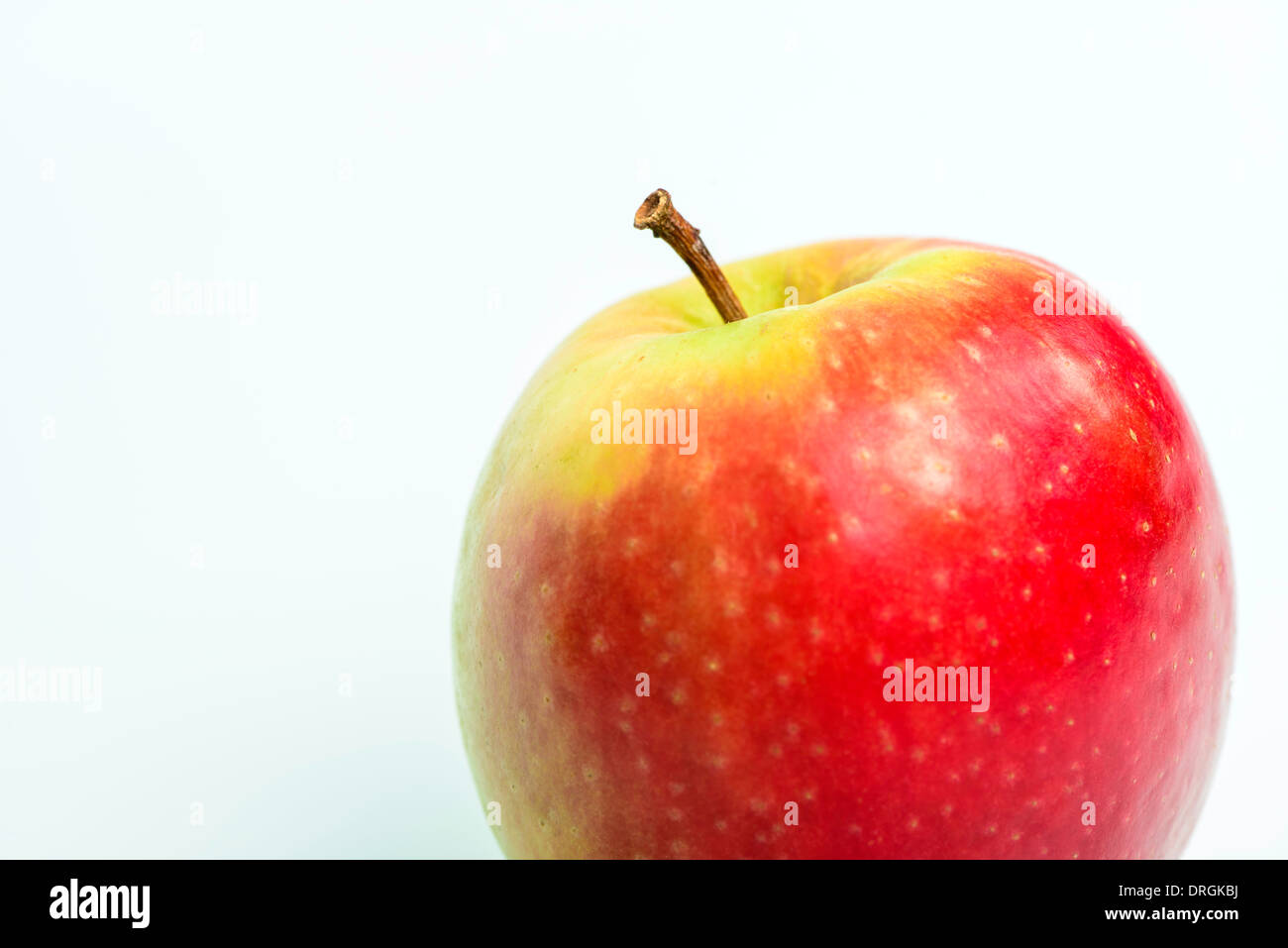 Pink Fir Apple, close up with stalk on white background Stock Photo - Alamy