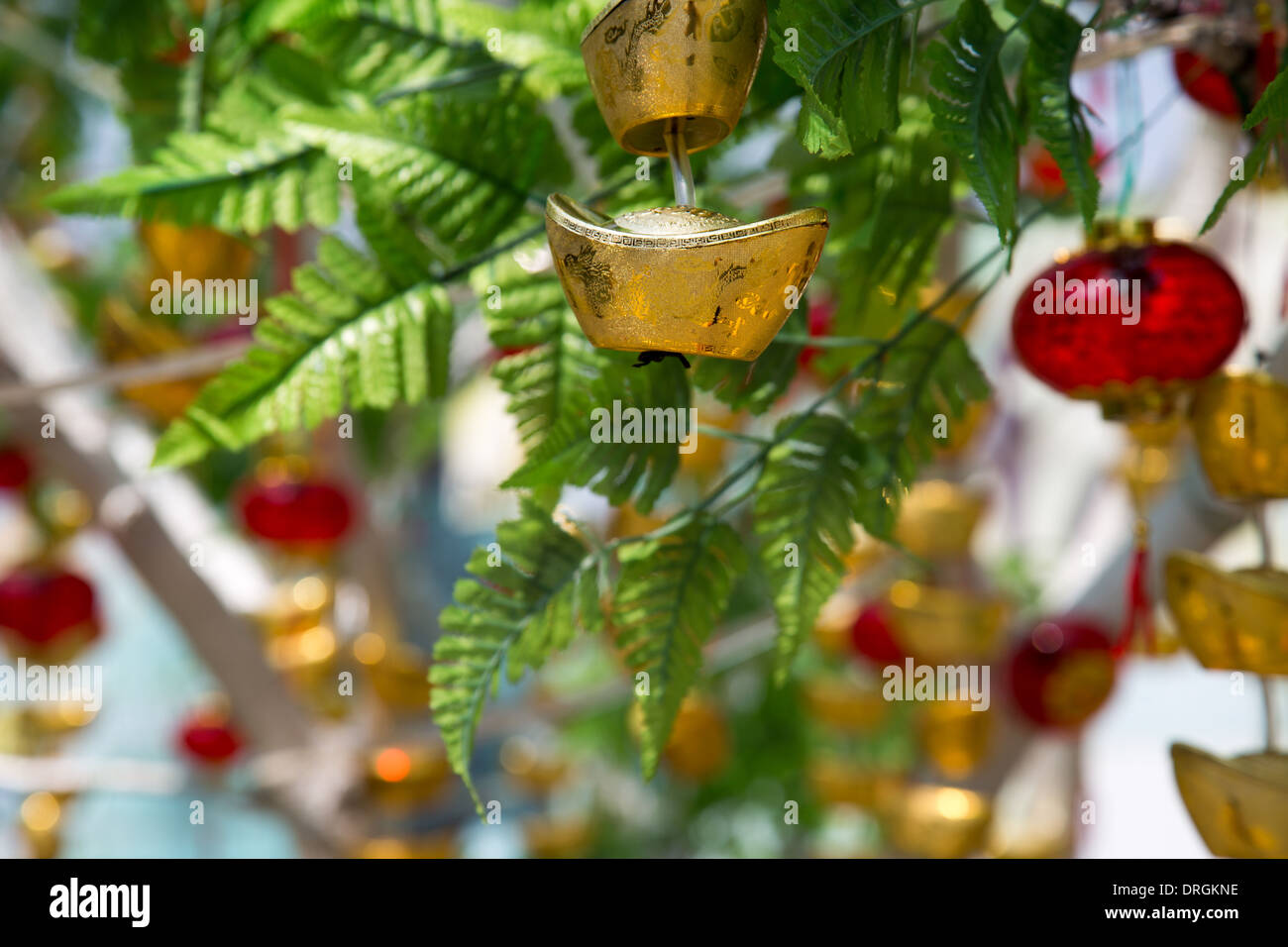 Tree at the Thean Hou Chinese Temple, Kuala Lumpur, Malaysia Stock ...