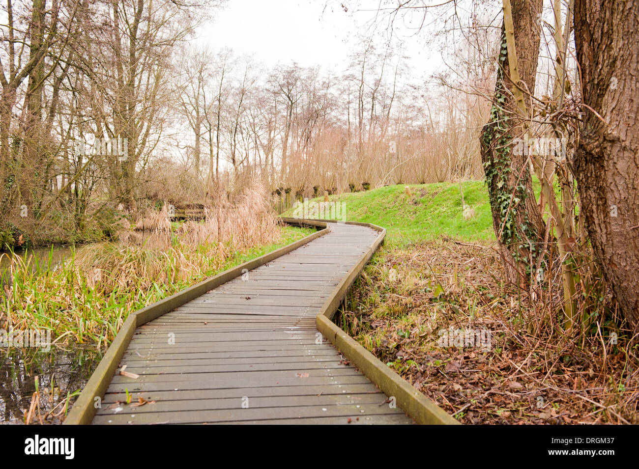 Footpath into the forest hi-res stock photography and images - Alamy