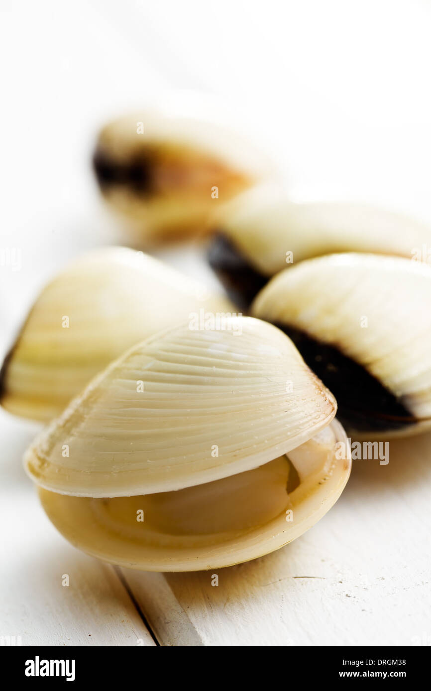 Wooden clam hi-res stock photography and images - Alamy