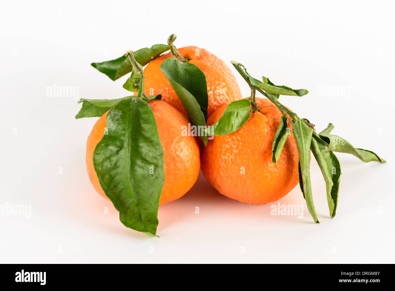 Satsumas hi-res stock photography and images - Alamy
