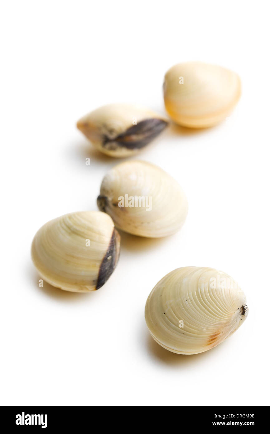 Clams cutout hi-res stock photography and images - Alamy