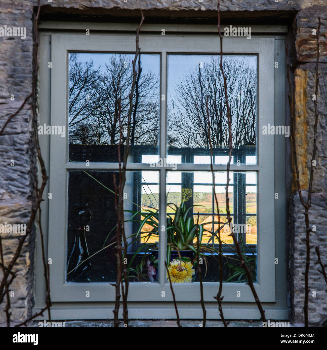 Squares and reflections, view through a window, through a second window ...