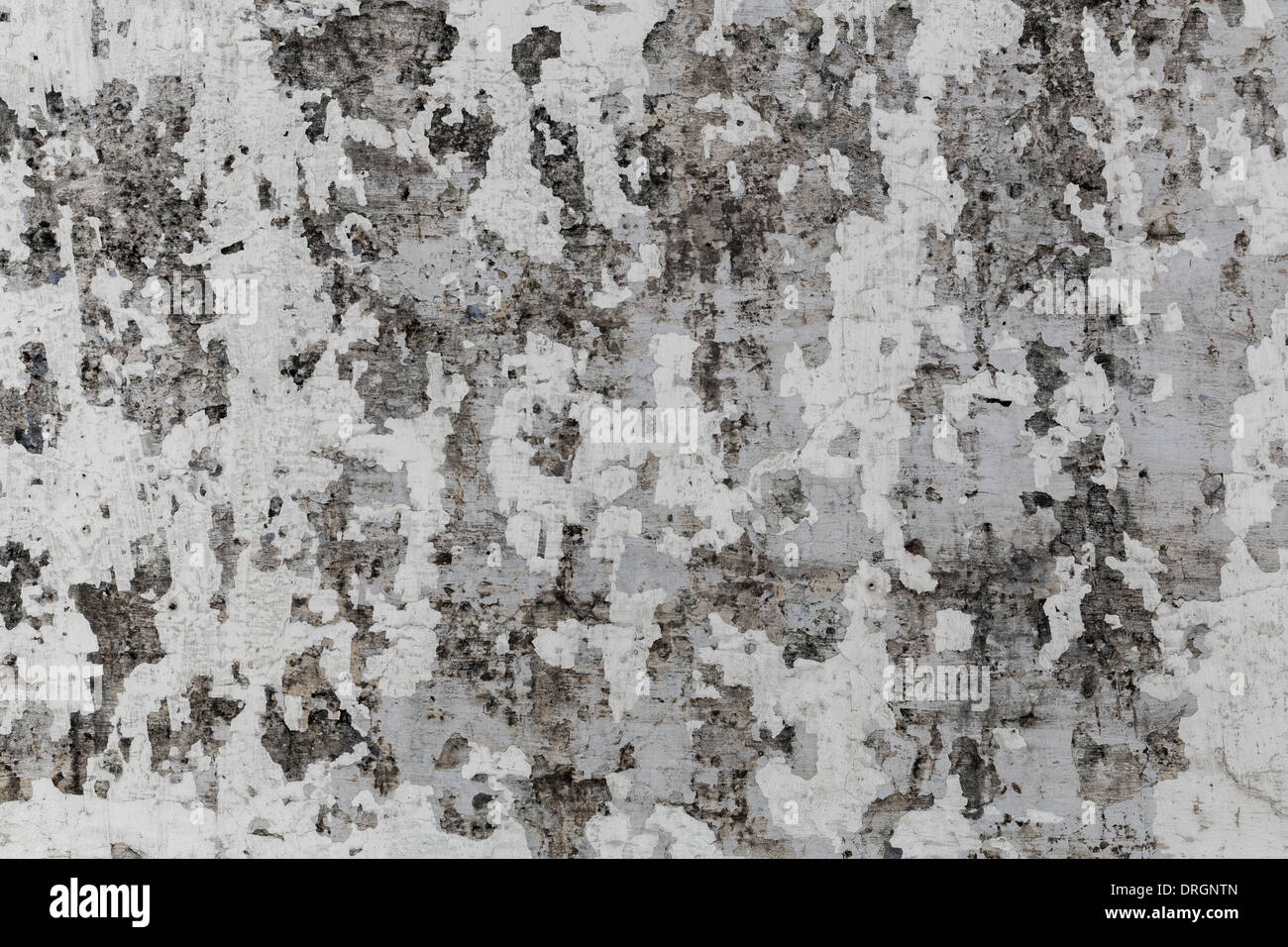 India, Rajasthan, Pushkar, plaster wall grunge Stock Photo - Alamy