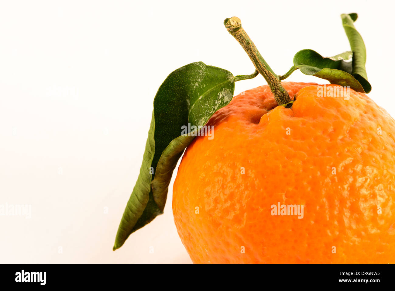 Satsuma with leaves hi-res stock photography and images - Alamy