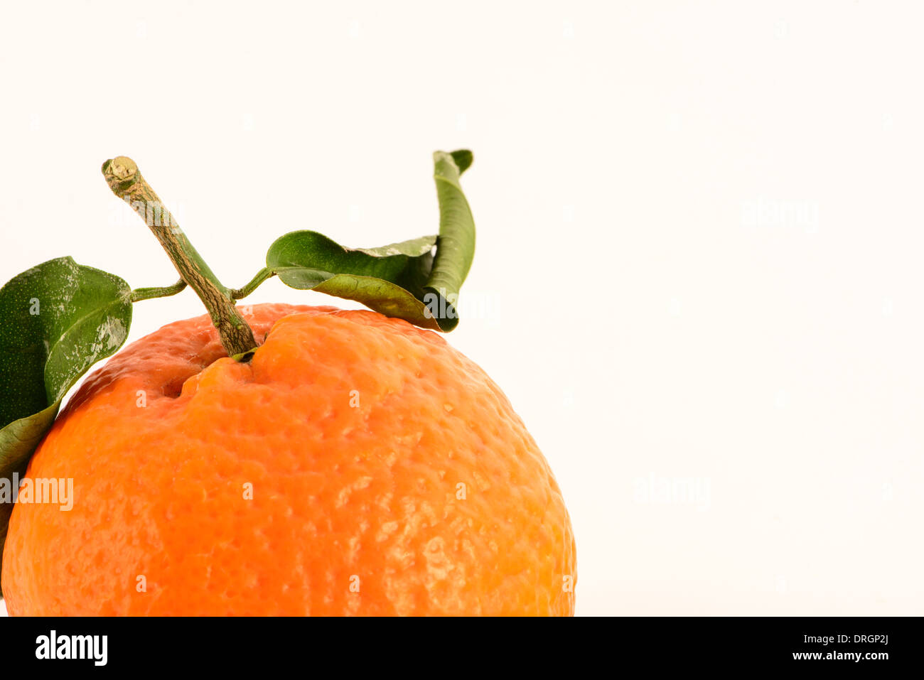 Satsuma with leaves hi-res stock photography and images - Alamy