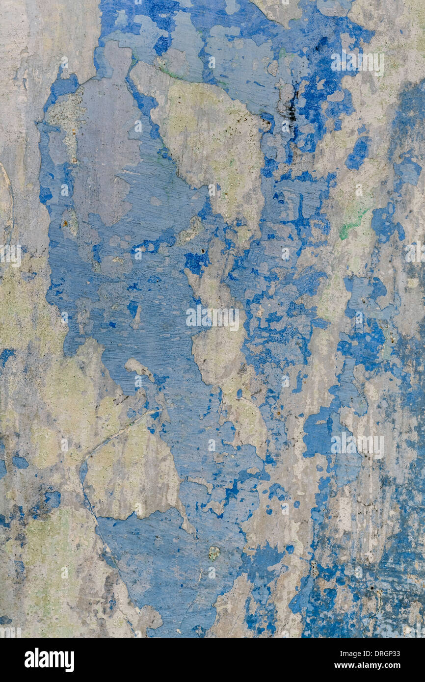 India, Rajasthan, Jodhpur, plaster wall grunge Stock Photo - Alamy