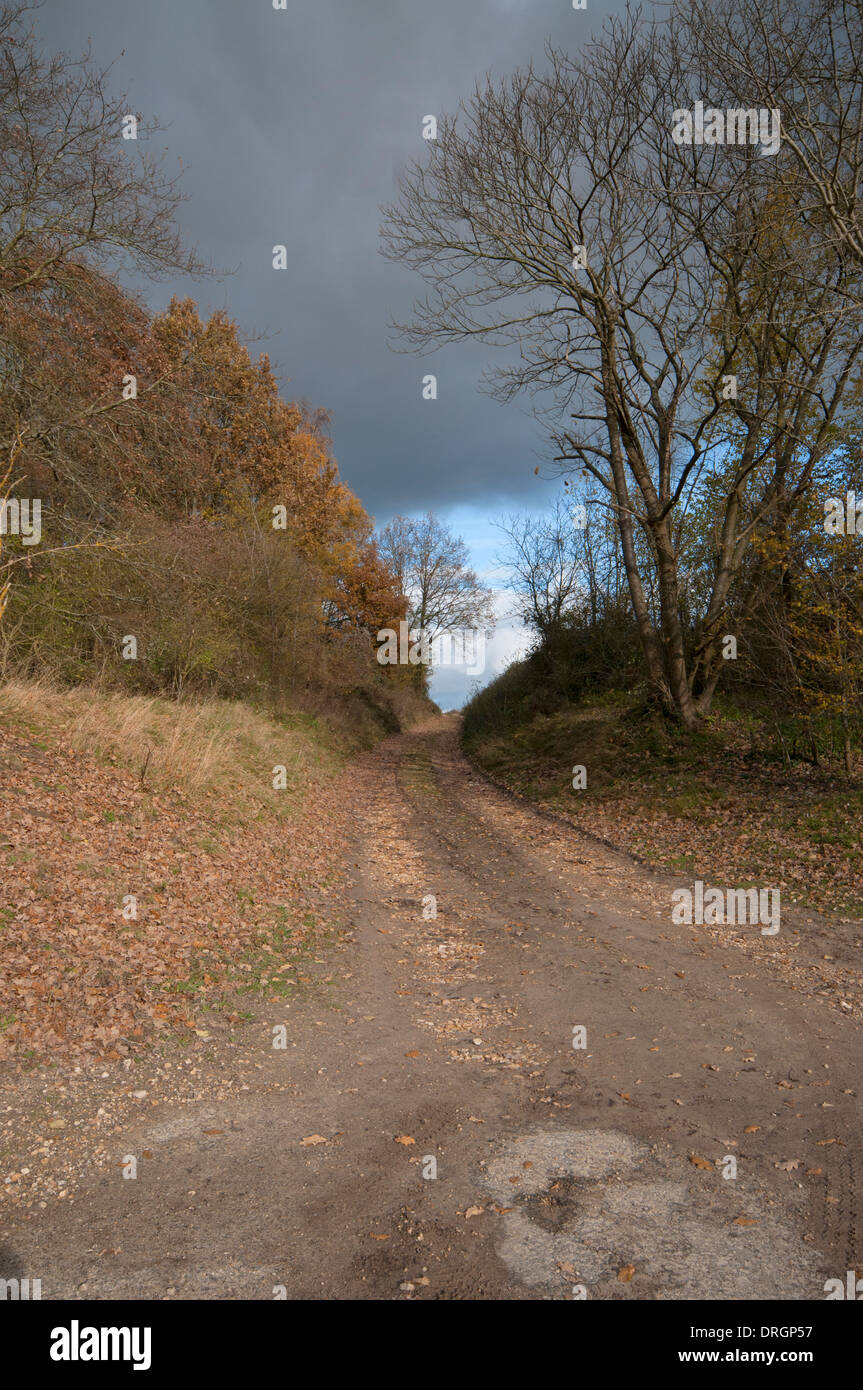 Unmade road hi-res stock photography and images - Alamy