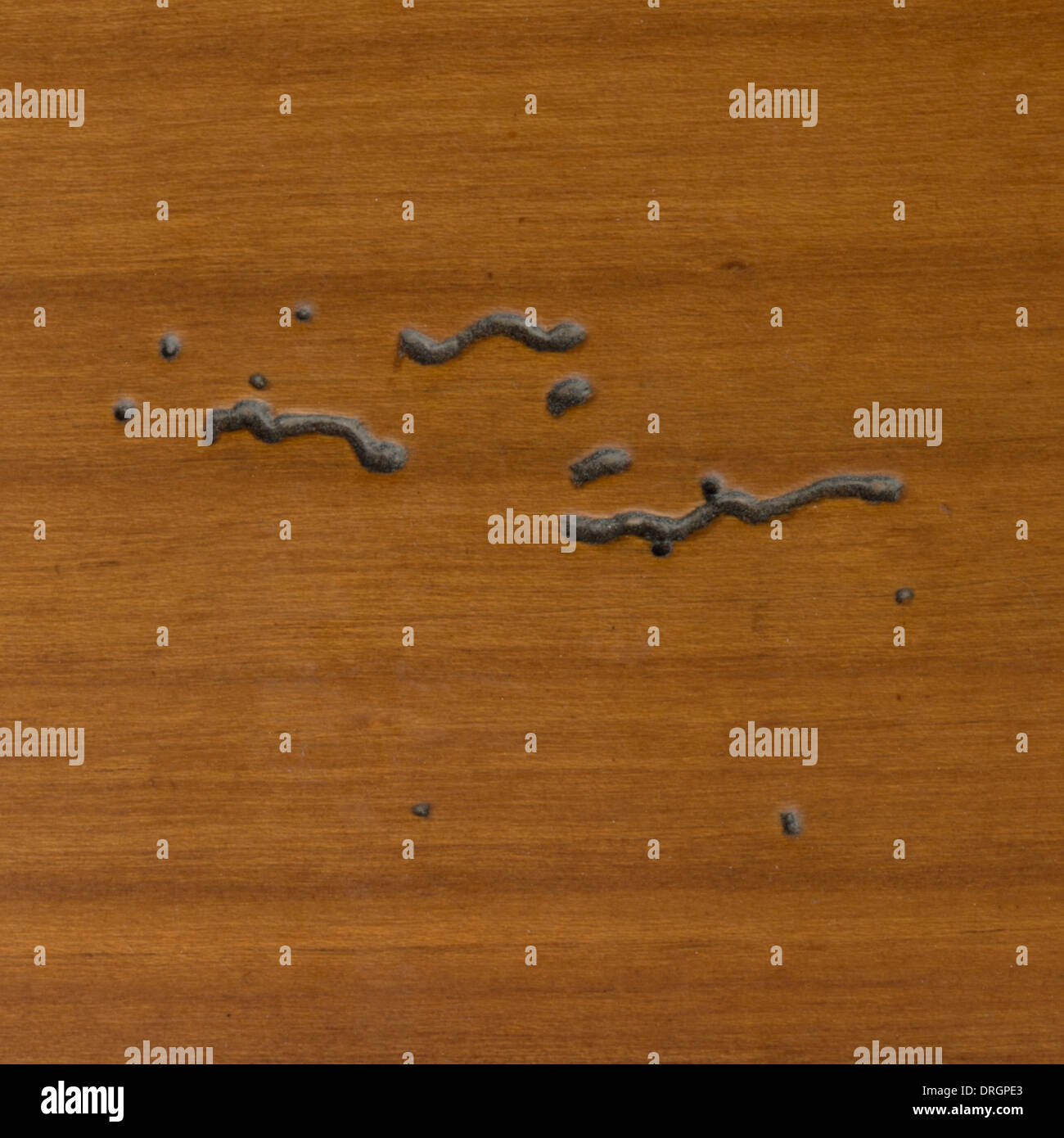 Wood closeup square shot texture for background Stock Photo - Alamy