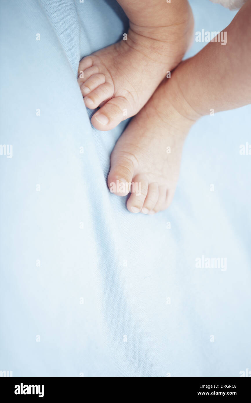 Close-up photo of the newborn legs Stock Photo - Alamy