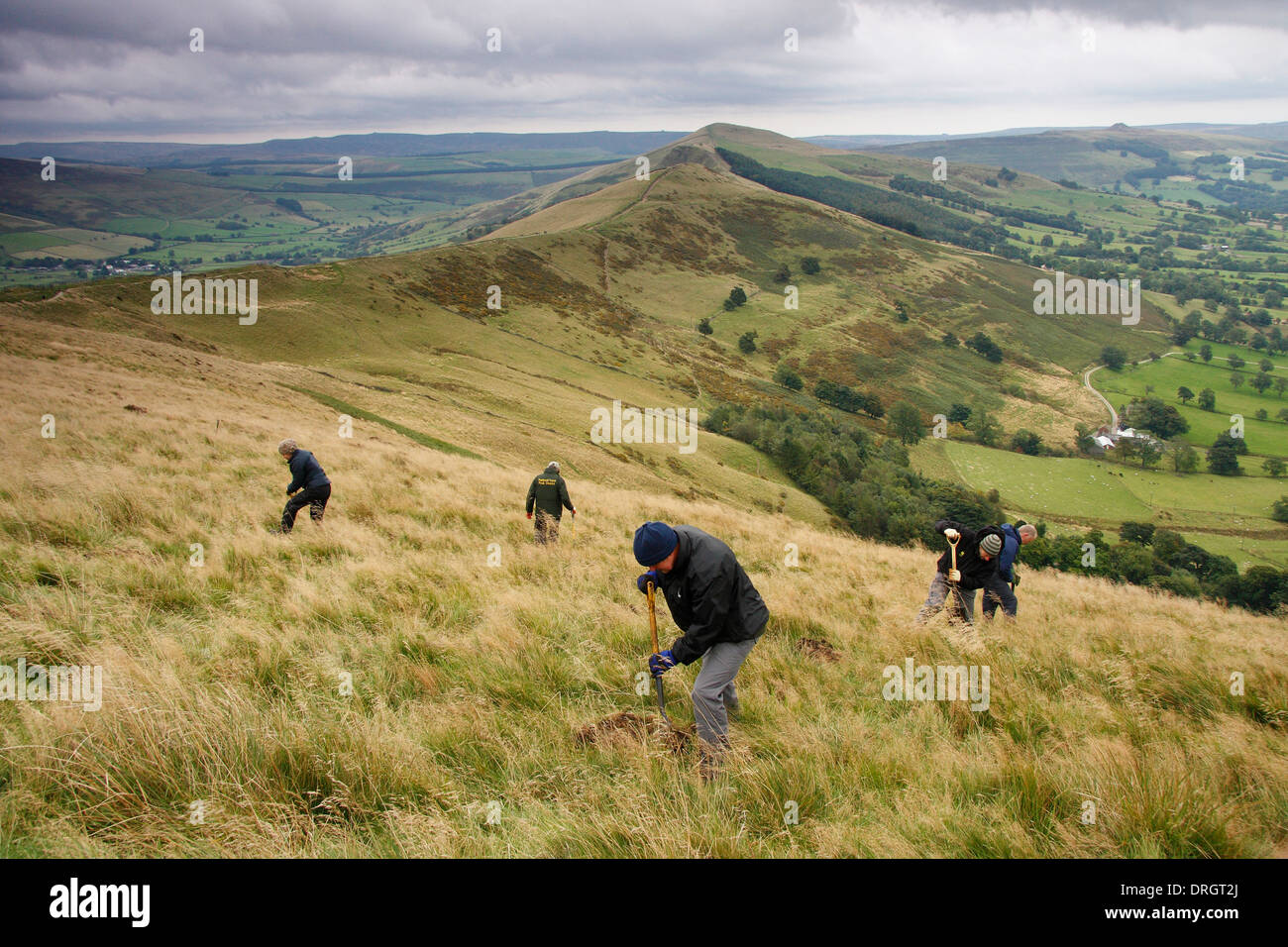 National Trust area ranger, Chris Millner (l) works with volunteers to ...
