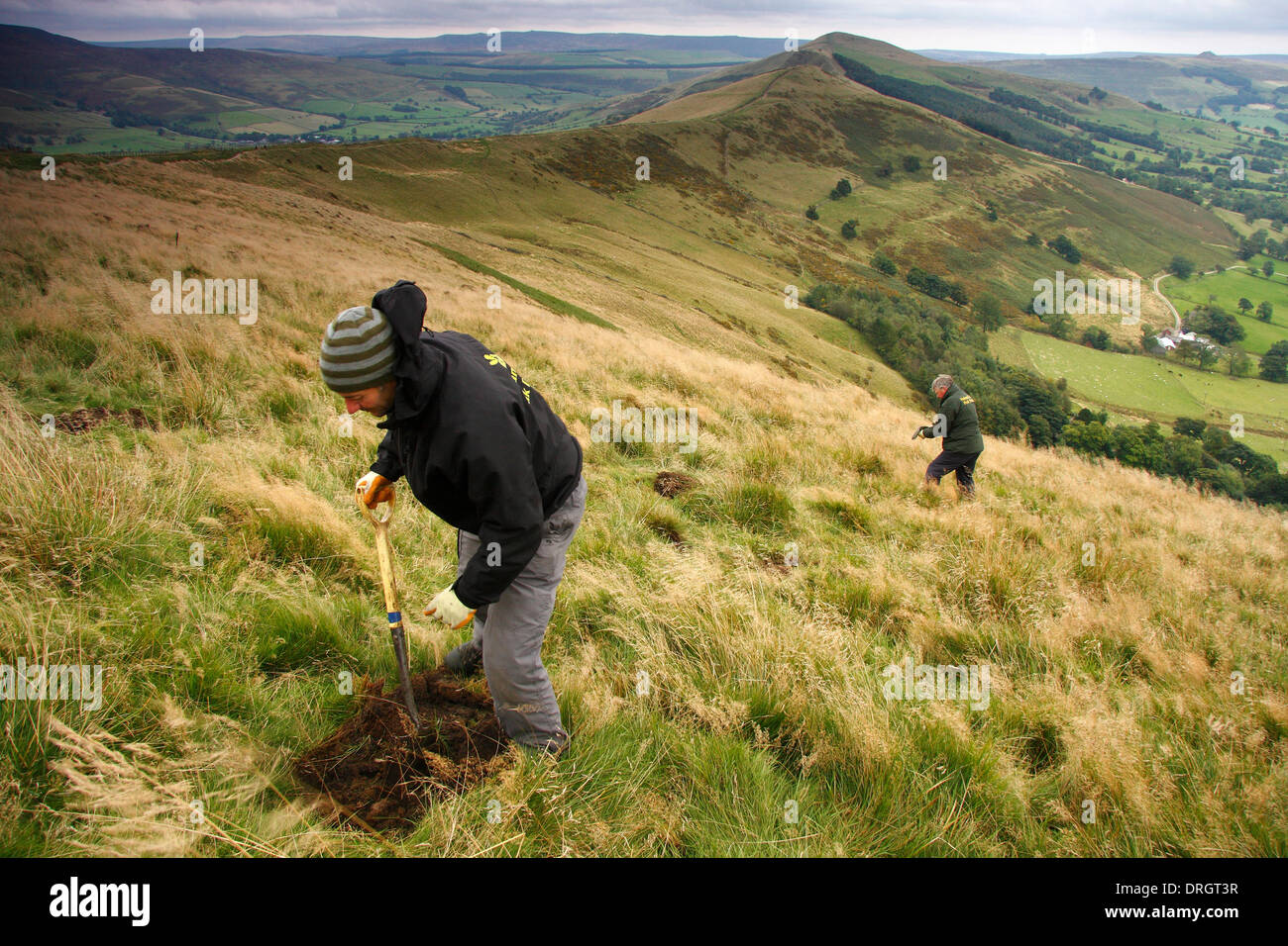 National Trust area ranger, Chris Millner (l) works with volunteers to ...