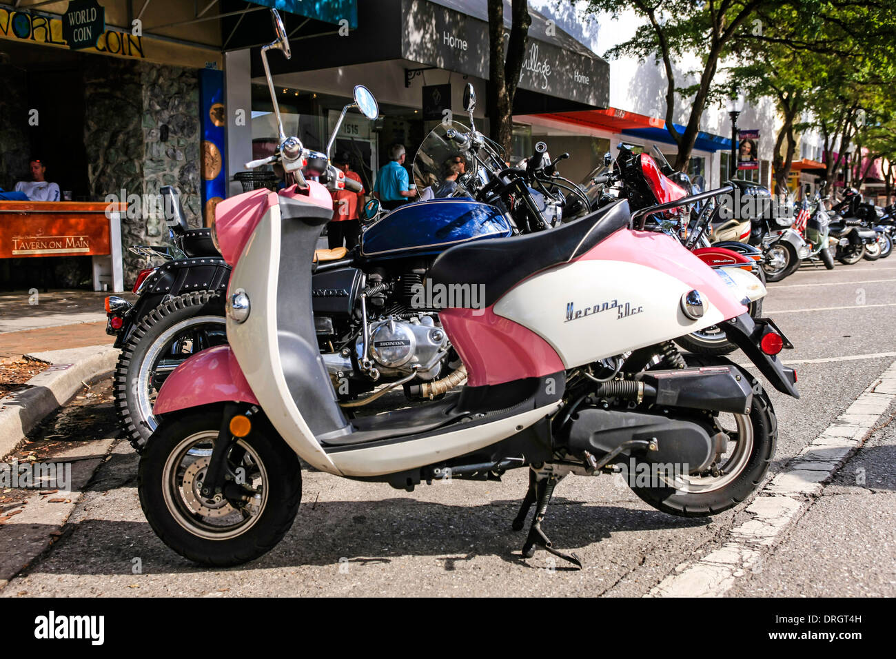 Thunder by the Bay motorcycle event in Sarasota Florida Stock Photo - Alamy