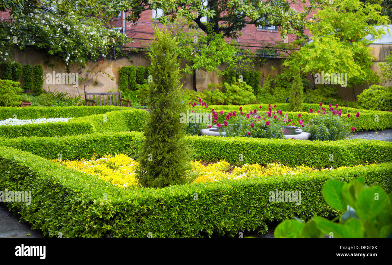 Manicured hedges and trees in a residential garden Stock Photo - Alamy